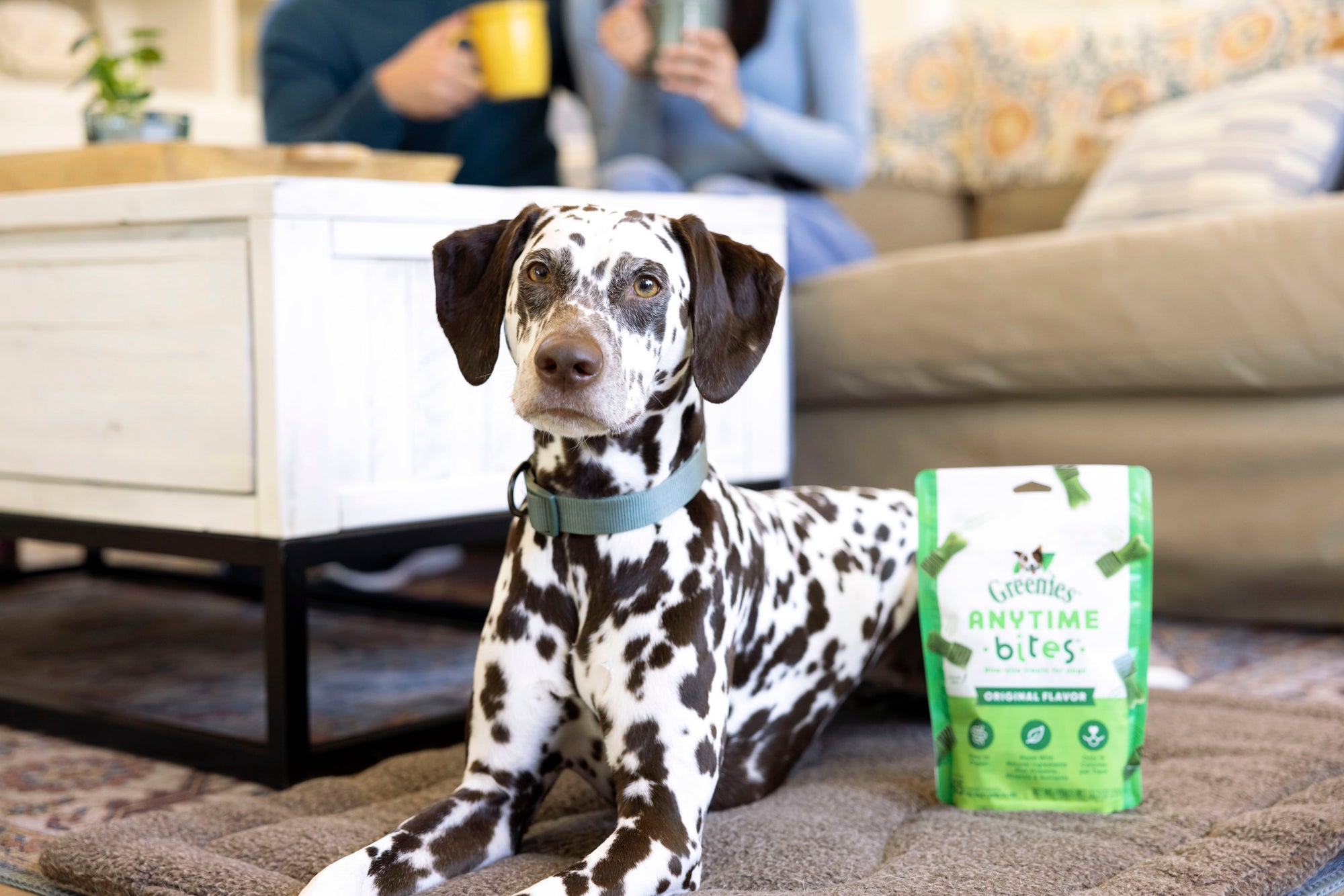 GREENIES™ Anytime Bites Are Great for Training & Frequent Dog Treating