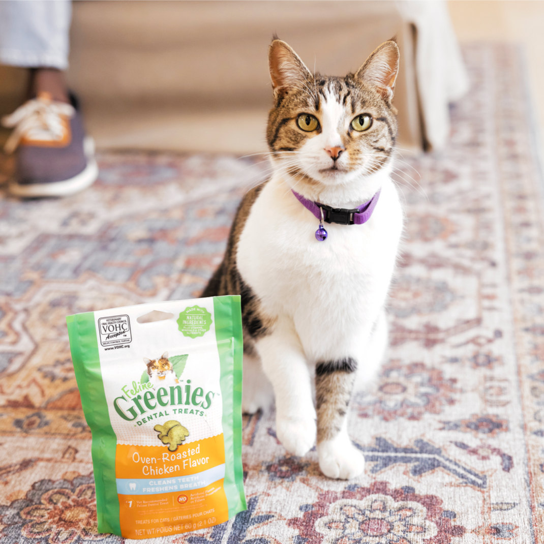 FELINE GREENIES Adult Dental Cat Treats, Oven Roasted Chicken Flavor, 9 ...